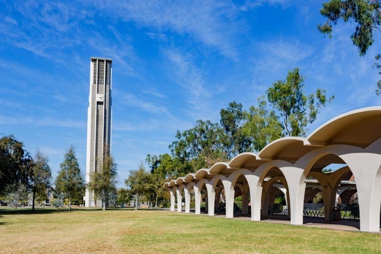 How to Write the UC Essays (2025-2026) | Empowerly