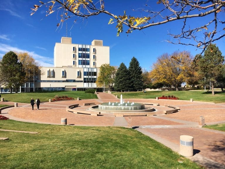 Largest Differences Between Universities And State Schools | Empowerly