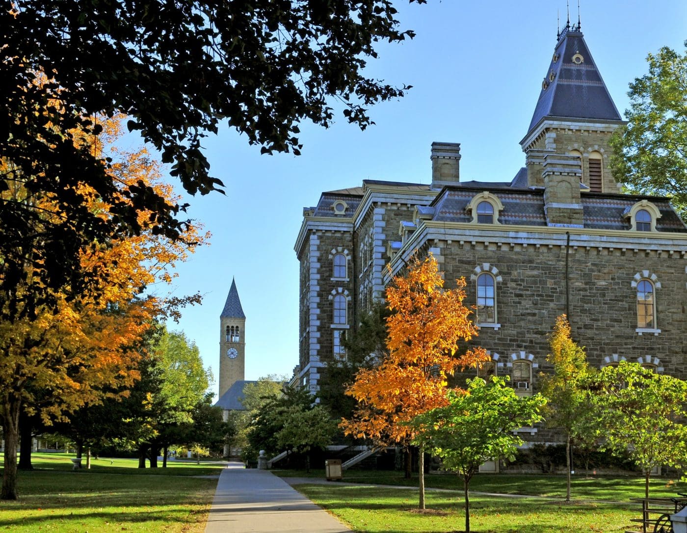Cornell 2024 Acceptance Rate & Admissions | Empowerly