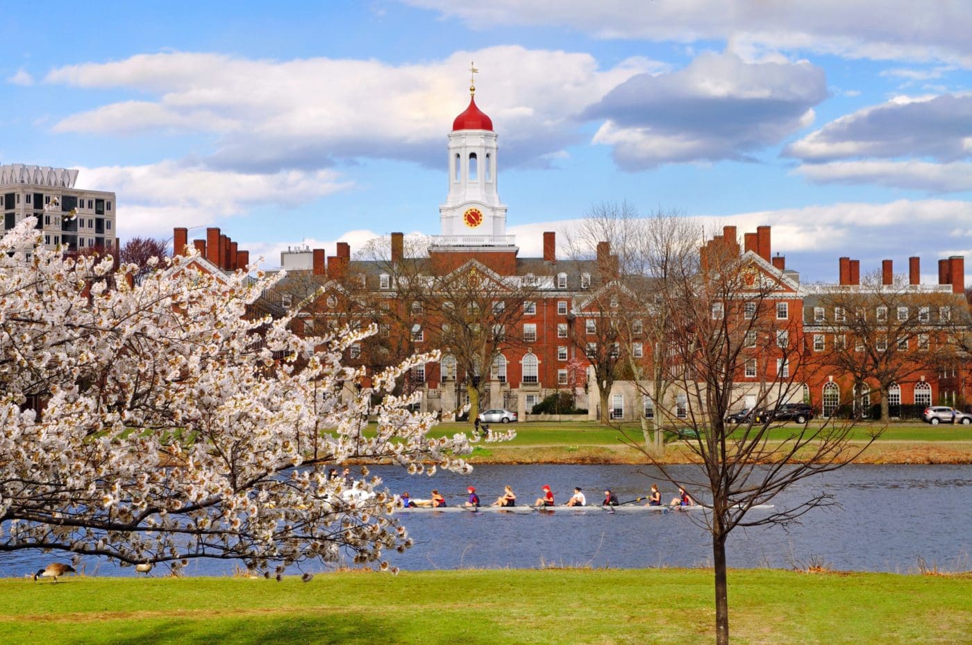 Harvard vs. Yale: Inside the College Rivalry | Empowerly