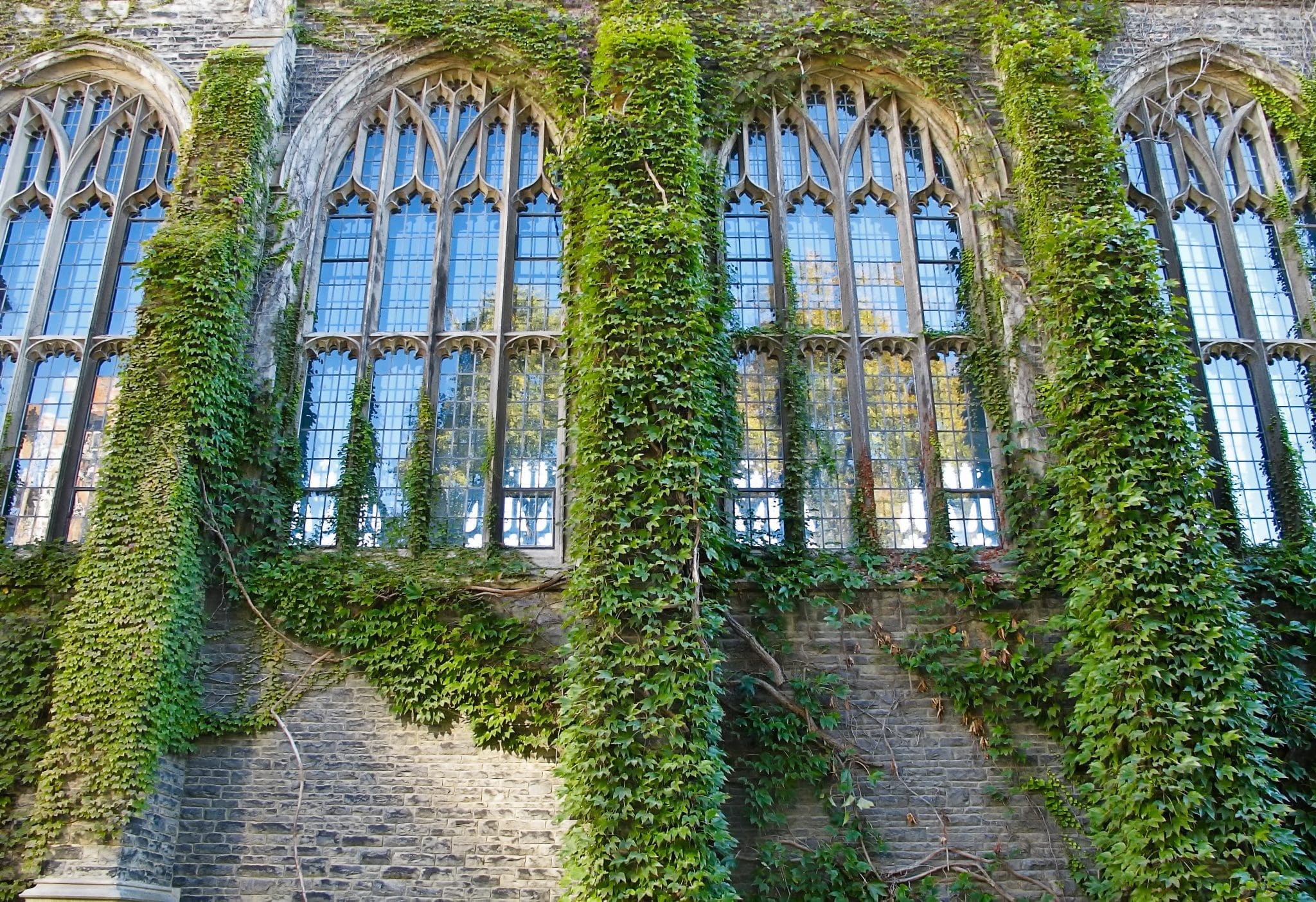 Harvard vs. Yale: Inside the College Rivalry | Empowerly