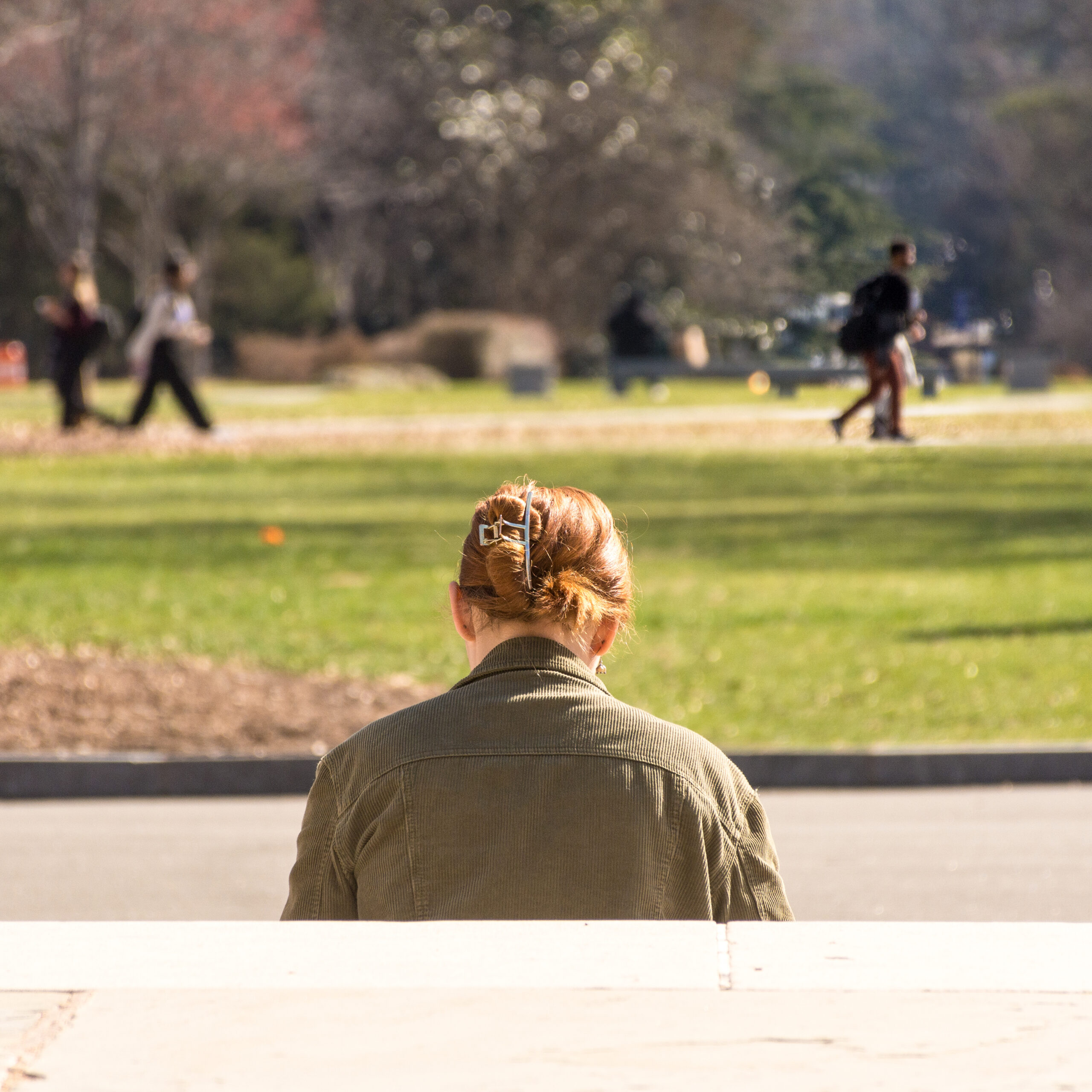 Is Duke Test Optional? Decoding Test-Optional Policies | Empowerly