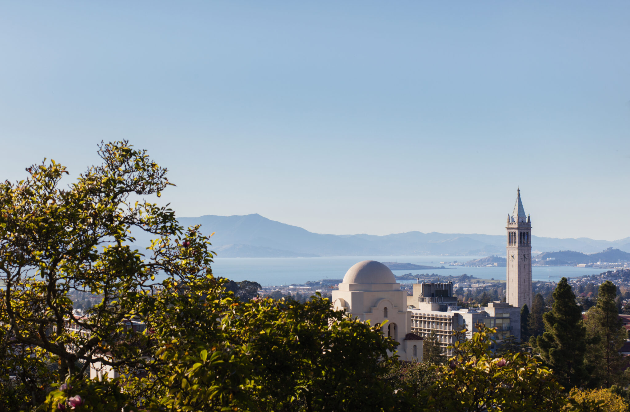 Understanding UC Waitlists: What the Decisions Really Mean | Empowerly